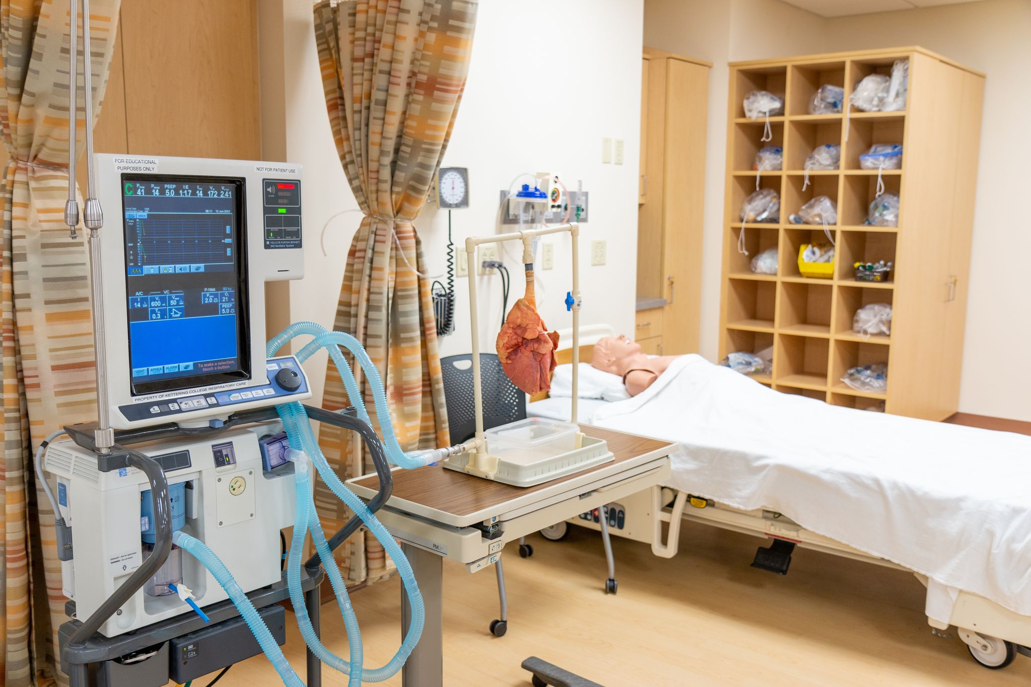 Breathing Life into Healthcare: The Role and Rewards of Respiratory ...